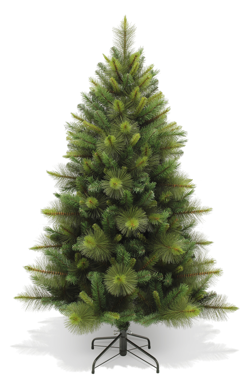 Buy Ponderosa Pine 6.0 ft in Australia | Real Christmas Trees