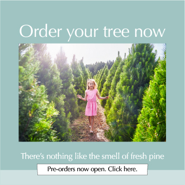 Christmas Decorations Shop Australia | Real Christmas Trees